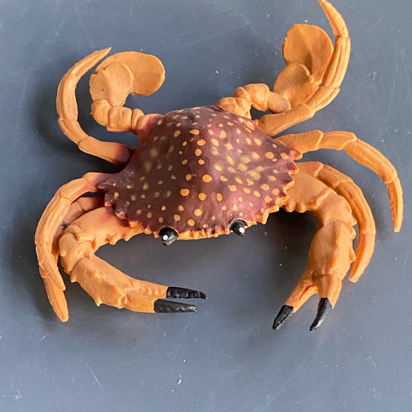Other | Crab Toy Figure Pvc Soft Shell Realistic Tan Tropical Sea Life ...